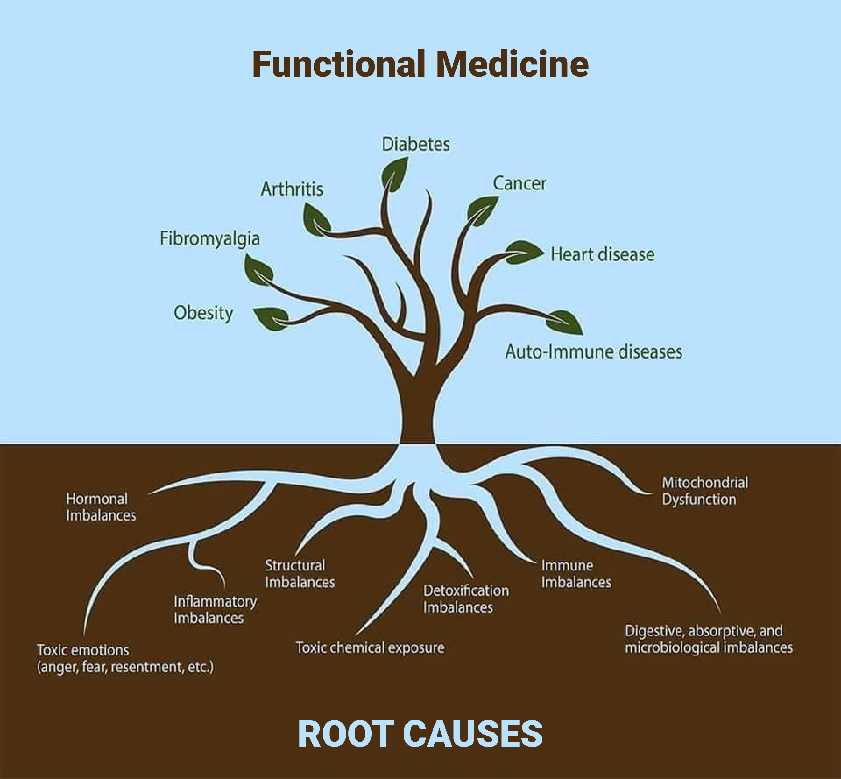 FUNCTIONAL MEDICINE INDIA functional-medicine-india